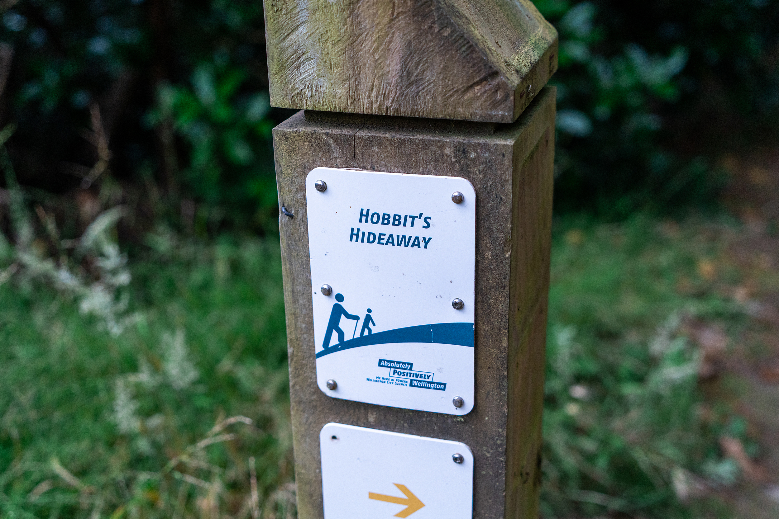 Discovering Hobbit's Hideaway on Mount Victoria, NZ - Walking into ...