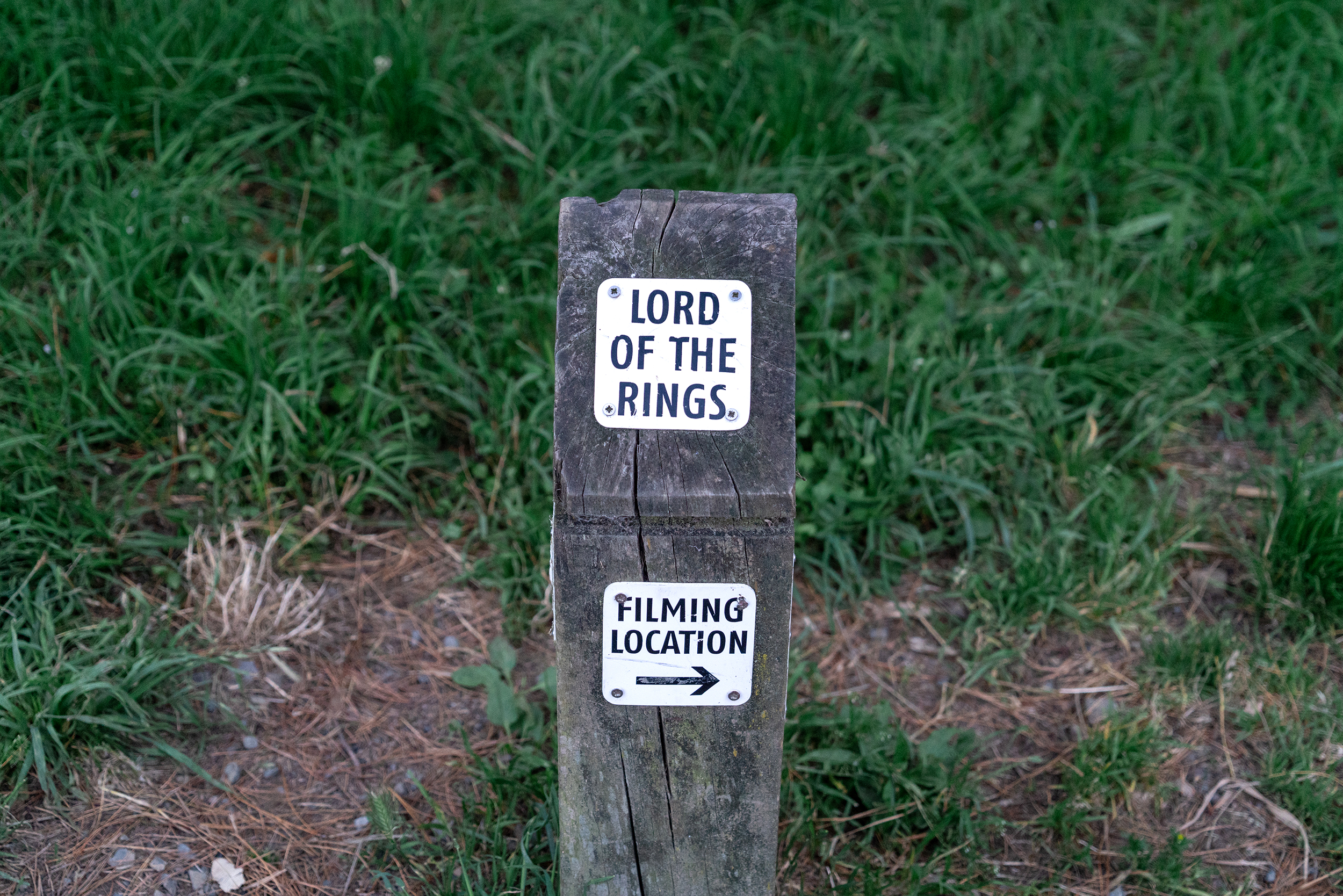 Discovering Hobbit's Hideaway on Mount Victoria, NZ - Walking into ...