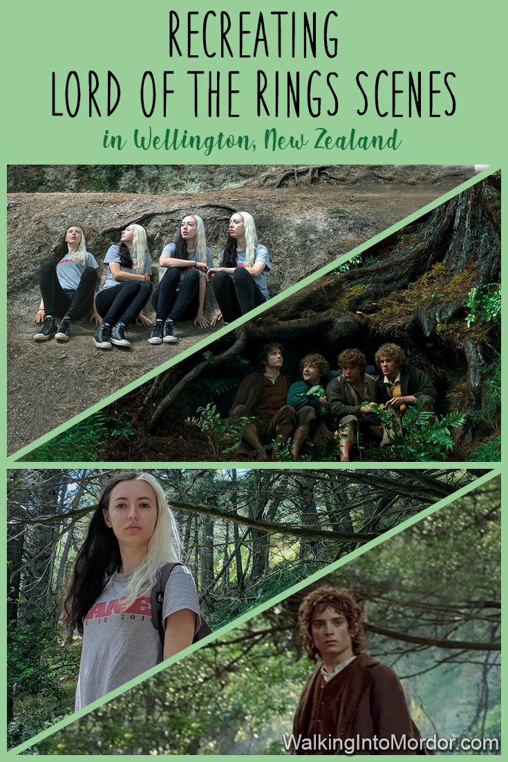 Discovering Hobbit's Hideaway on Mount Victoria, NZ - Walking into ...
